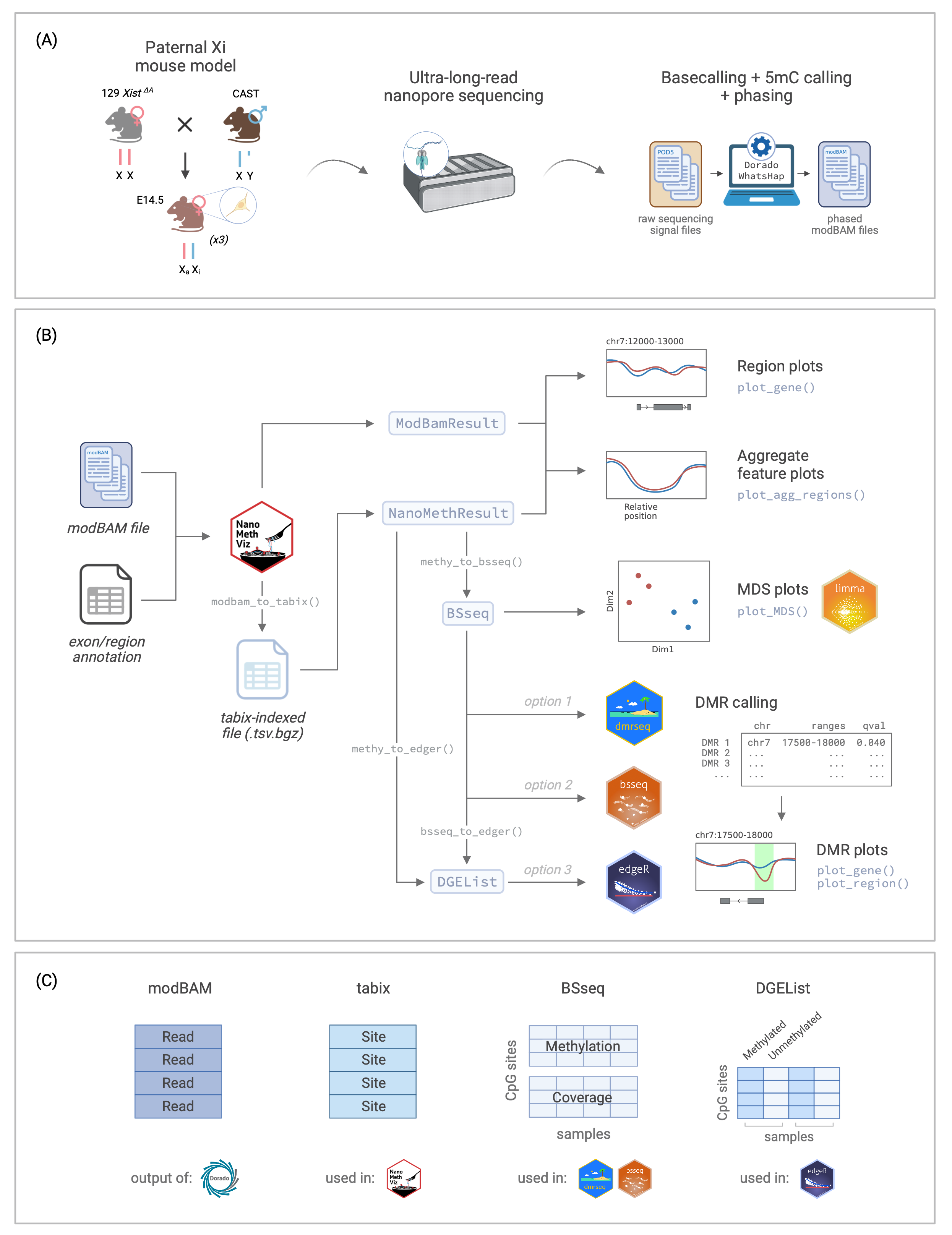 A Streamlined Workflow For Long Read Dna Methylation Analysis With