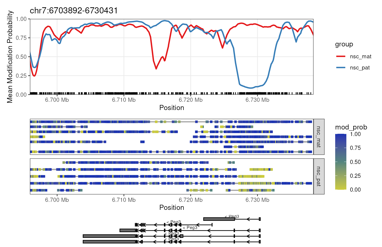 A Streamlined Workflow For Long Read Dna Methylation Analysis With
